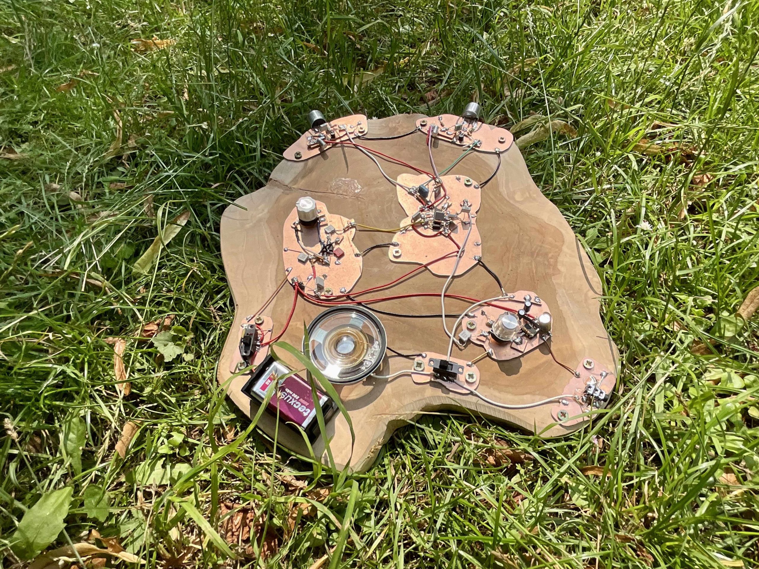 Experiments in Echolocation by Rodolfo Acosta Castro - PIFcamp