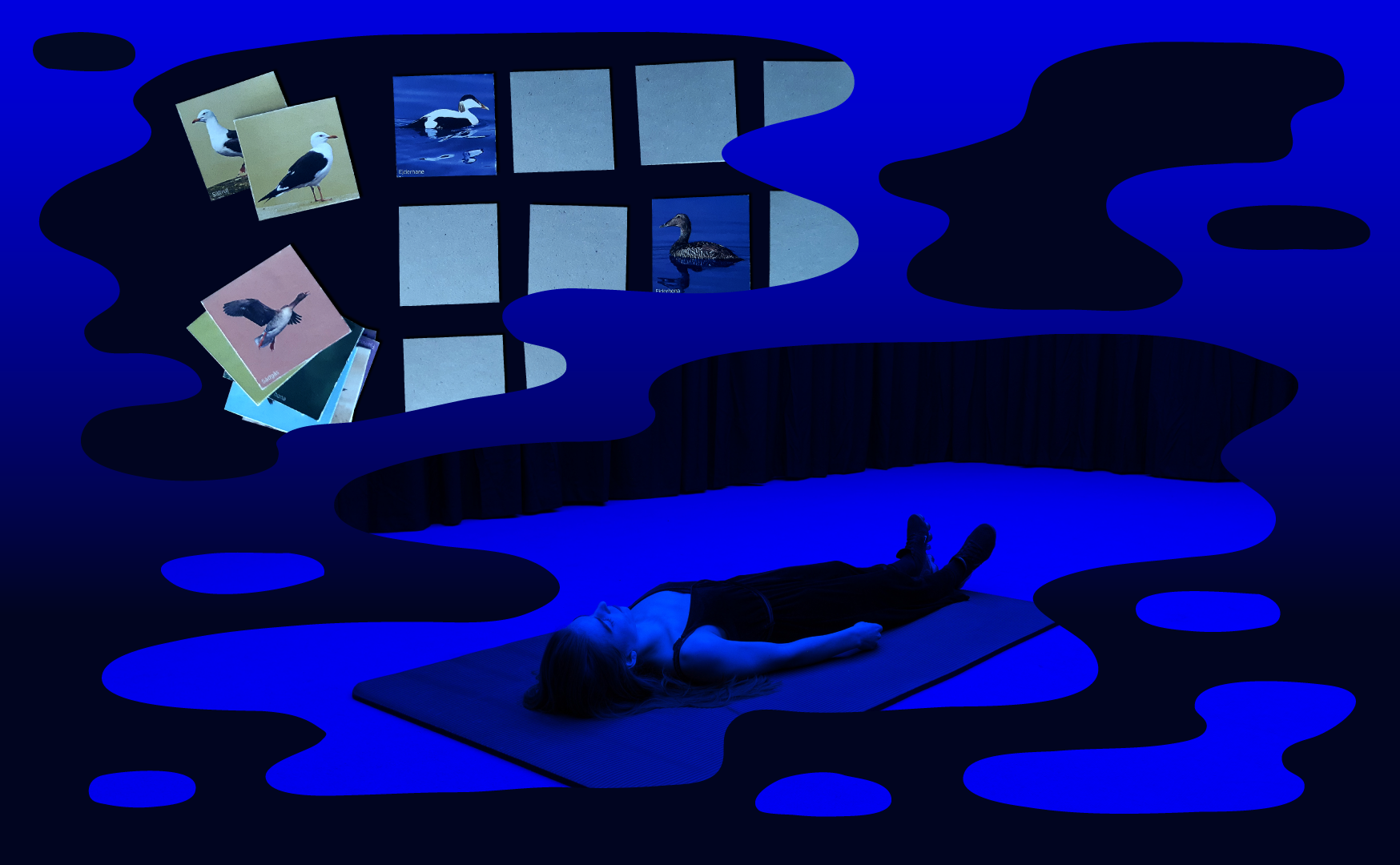 Diving Into the Posthumanist Practice - PIFcamp